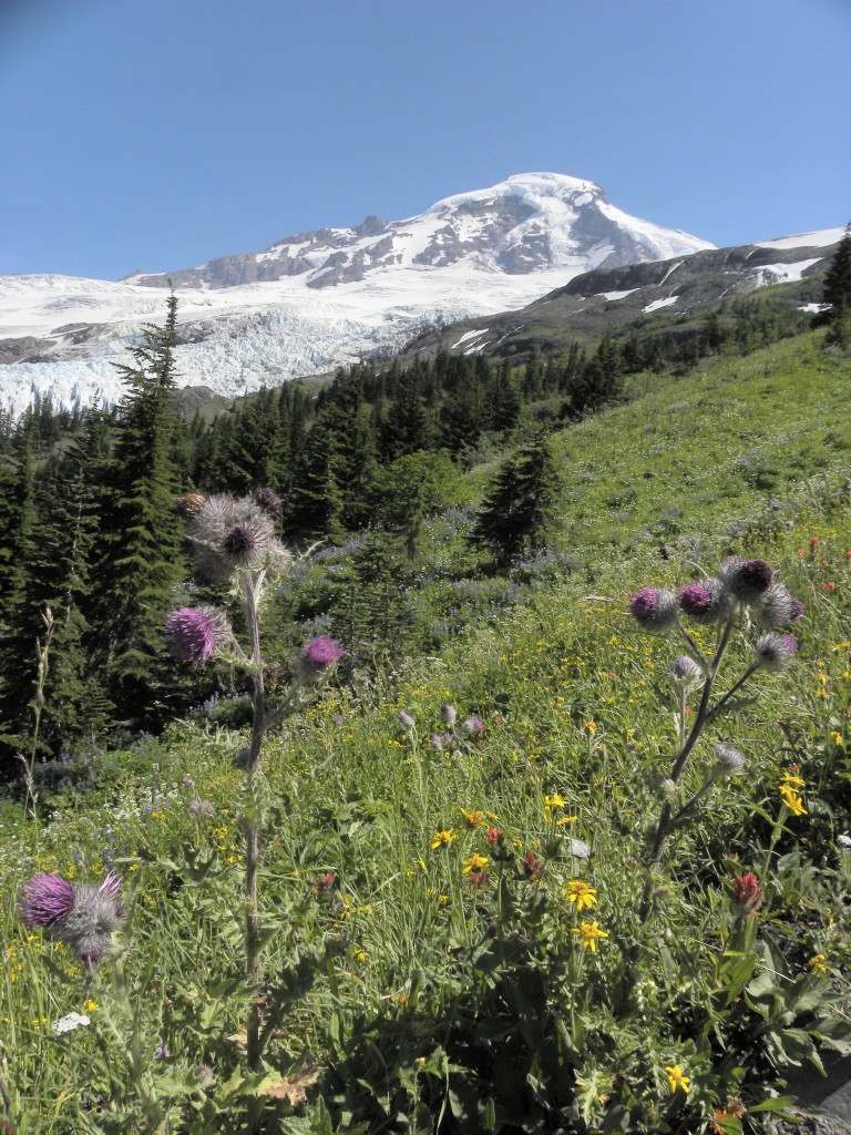 Get out there! | Pamela Beason